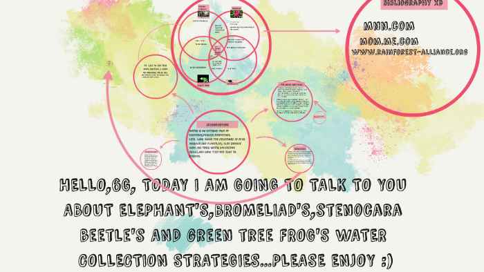 WATER COLLECTION STRATEGIES AND ANIMALS by maddison carroll on Prezi