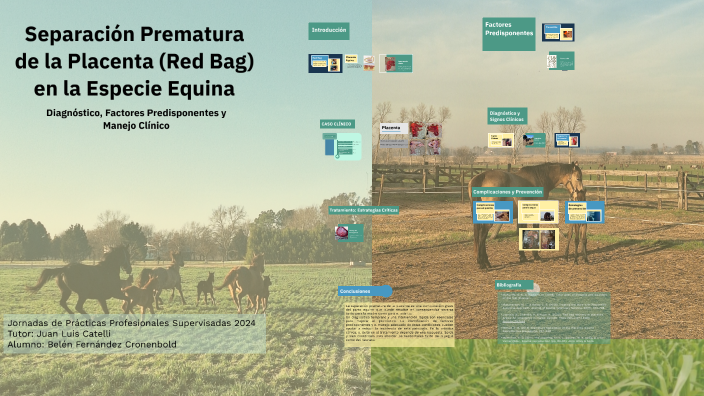 Separación Prematura de la Placenta (Red Bag) en la Especie Equina by ...