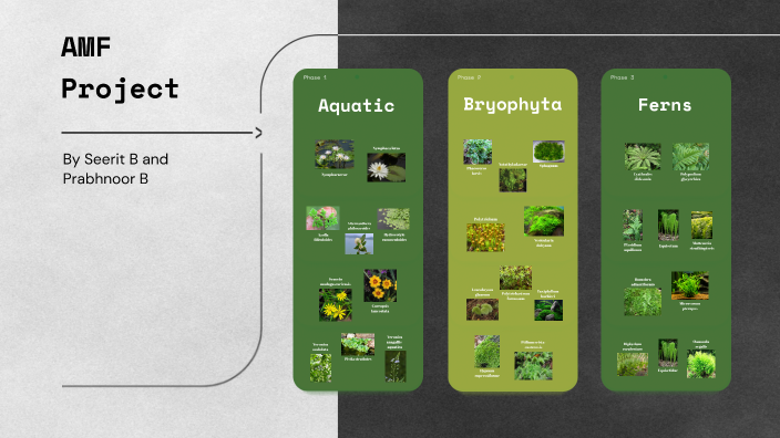 plants by Seerit Brar on Prezi