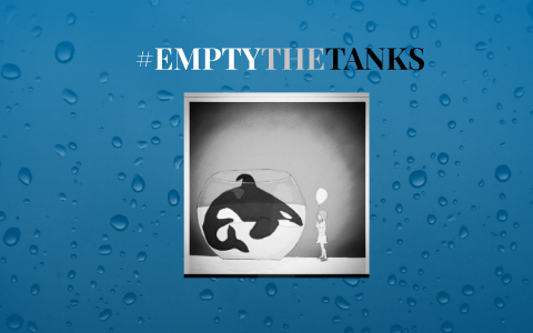 Put it into perspective by Athena Harrington on Prezi