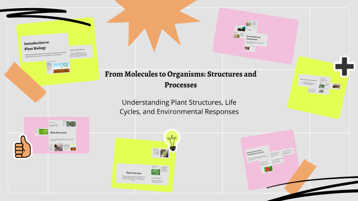 From Molecules to Organisms: Structures and Processes by Mackenzie Lusk ...