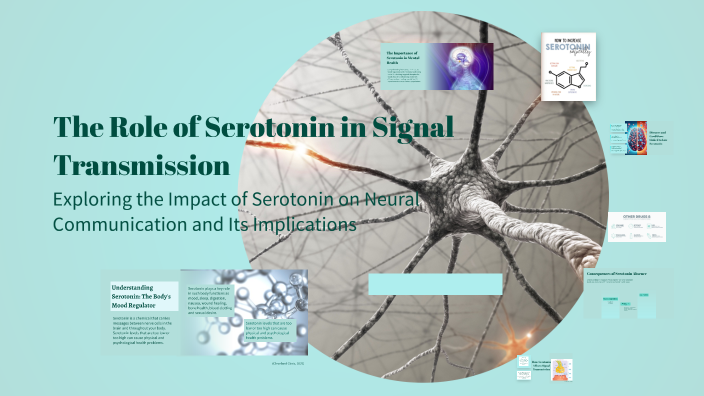 The Role of Serotonin in Signal Transmission by Anna Mansor on Prezi