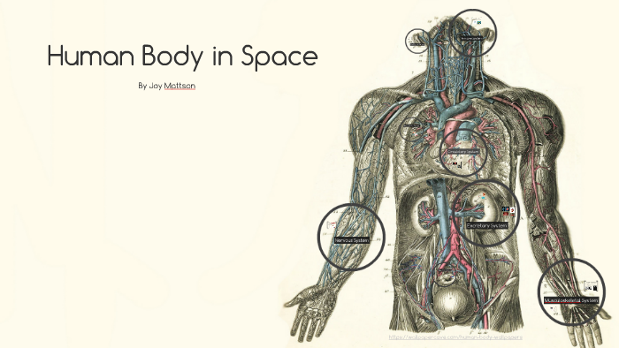 Human Body in Space by Joy Mattson on Prezi