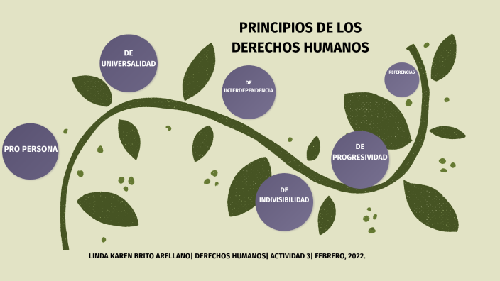 LOS PRINCIPIOS DE LOS DERECHOS HUMANOS/ KAREN BRITO by LINDA BRITO on Prezi