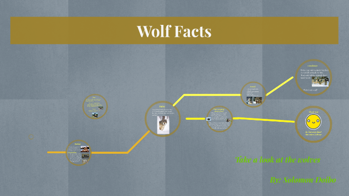 Take A Look At The Wolves by ineami doibo on Prezi