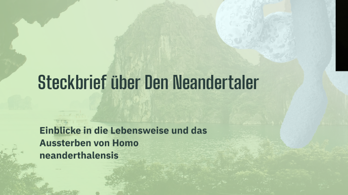 Steckbrief über Den Neandertaler by Matthias on Prezi