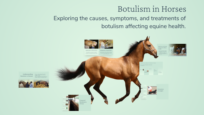 Botulism in Horses by Zayla Vasquez on Prezi