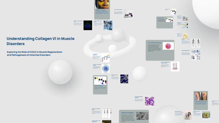 Understanding the Role of Collagen VI in Muscle Disorders by Antonietta ...
