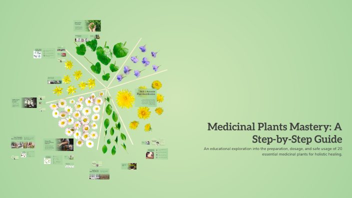 Medicinal Plants Mastery: A Step-by-Step Guide by Adriano Palhares on Prezi