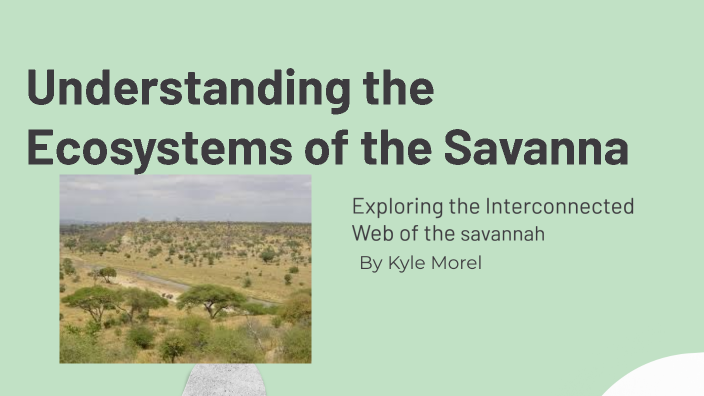 Understanding Ecosystems by Kyle Morel on Prezi