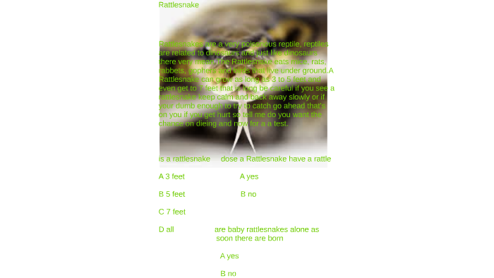 Https Www Google Imgres Imgurl Https 3a 2f 2fwallpaper By Paul