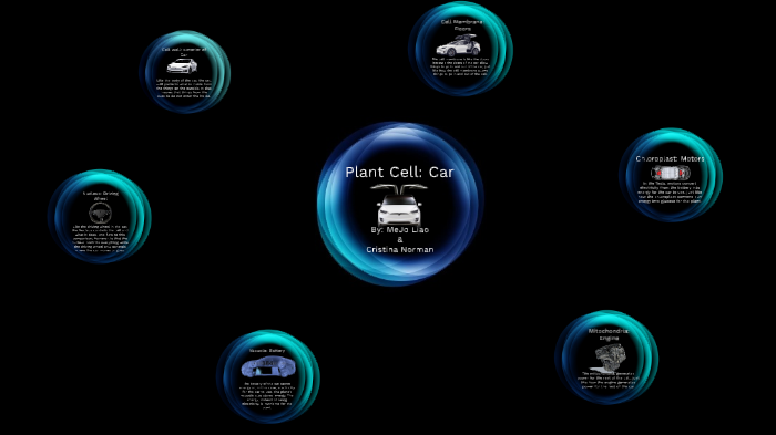 Plant Cell by MeJo Liao on Prezi
