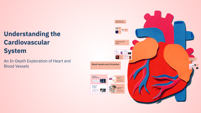 Understanding the Cardiovascular System by fati7230 fati7230 on Prezi