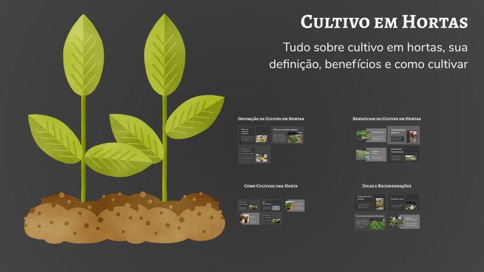 by carine ribeiro on Prezi