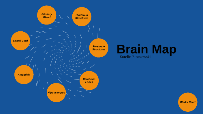 Brain Map Project by Katelin Binezewski on Prezi