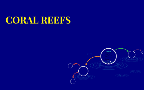 Coral reefs are underwater ecosystems with much variety. by Peeka Choo