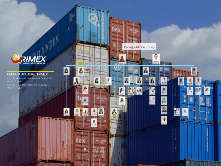 ORGANIGRAMA TRIMEX by Trimodal de México on Prezi