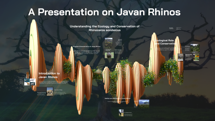 A Presentation on Javan Rhinos by Stephen Chisam on Prezi