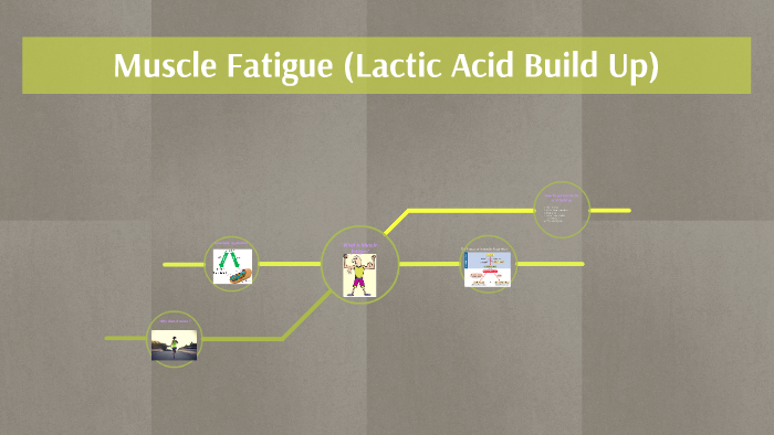 Muscle Fatigue (Lactic Acid Build Up) by Abraham Patrick on Prezi