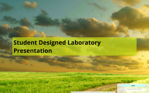 Student Designed Lab Report Presentation TEMPLATE by Joanna McGinnis on ...