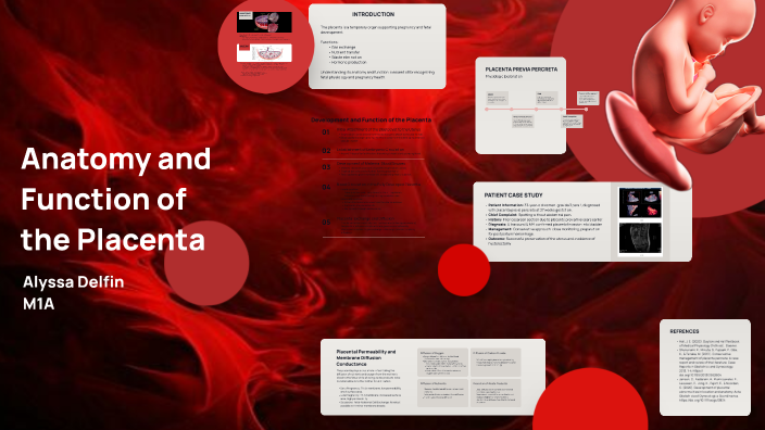 Delfin Physio Case Presentation_Anatomy and Function of the Placenta by Alyssa Delfin on Prezi