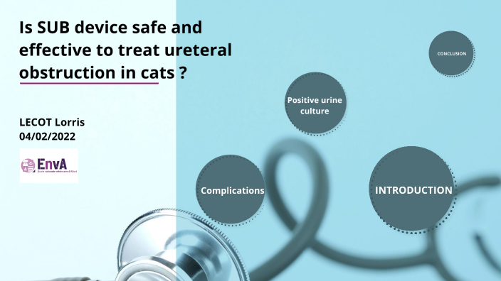 Is SUB device efficient to treat ureteral obstruction in cats ? by ...