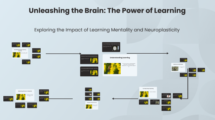 Unleashing the Brain: The Power of Learning by Muhamad Alaa on Prezi