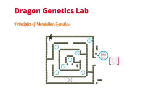 Dragon Genetics Lab: Principles of Mendelian Genetics by Amanda Kern on ...