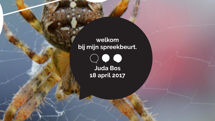 hoi allemaal mijn spreekbeurt gaat over spinnen by Juda Bos on Prezi