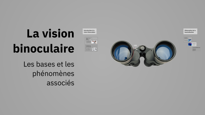 La vision binoculaire by Inass Radi on Prezi