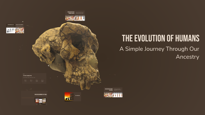 The Evolution of Humans by fatima alissa on Prezi