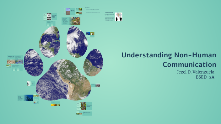 Understanding Non-Human Communication by Jez Valenzuela on Prezi