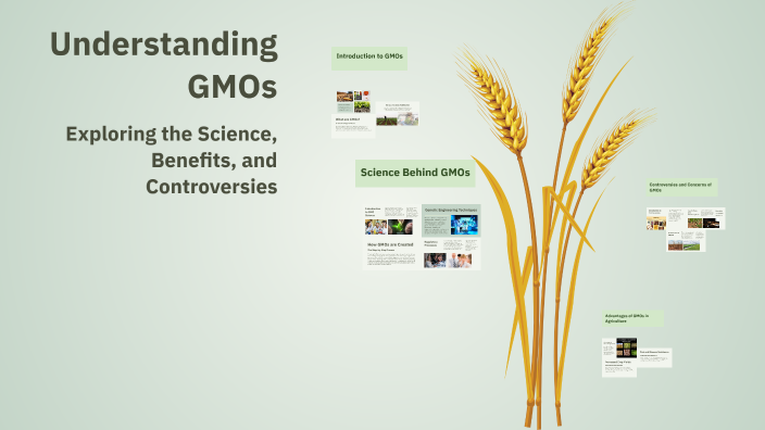 Understanding GMOs by Cadence Harkins on Prezi