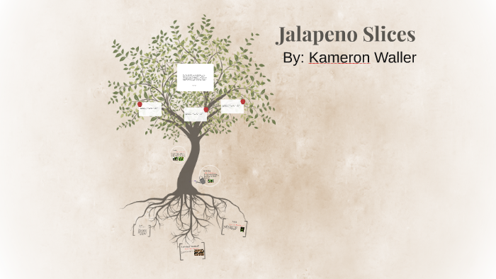 Started From The Bottom Now we're Jalapeno Slices by Kameron Waller on ...