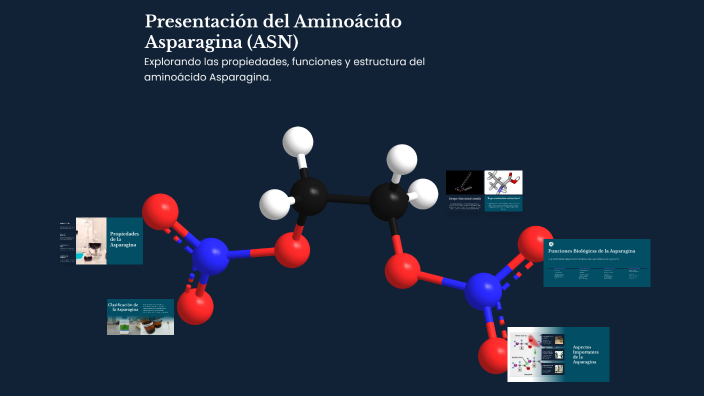 Presentación del Aminoácido Asparagina (ASN) by José Alejandro Minar ...