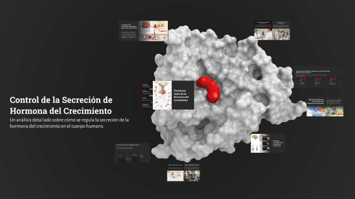 Control de la Secreción de Hormona del Crecimiento by Shoam Jazel ...