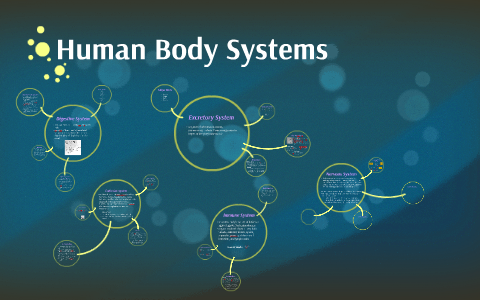 Major Human Body Systems by Nathalie Guerrero on Prezi