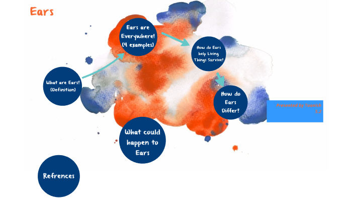 Ears- School Project (Animal Adaptations) by Taanish Soodan on Prezi