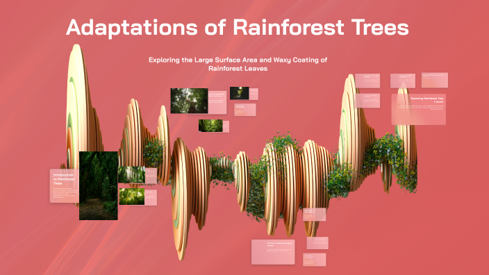 Adaptations of Rainforest Trees by a on Prezi