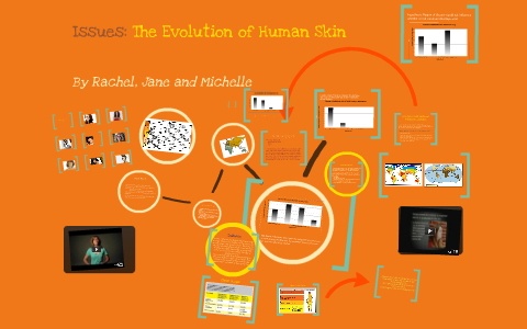 Evolution of Human Skin by rachel Smyth on Prezi
