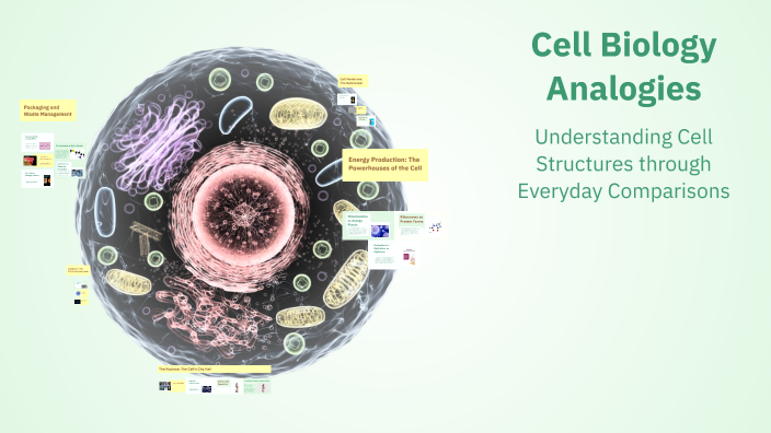 Cell Biology Analogies by Avery Jackson on Prezi