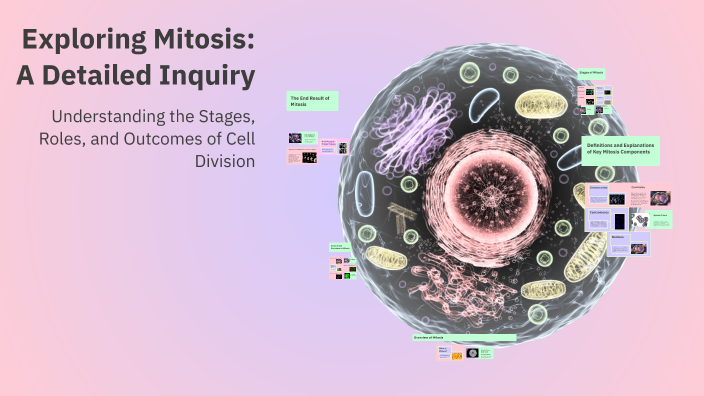 Exploring Mitosis: A Detailed Inquiry by Ryder Upton on Prezi