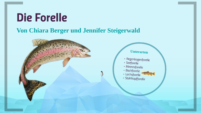 Die Forelle by Jennifer Steigerwald on Prezi