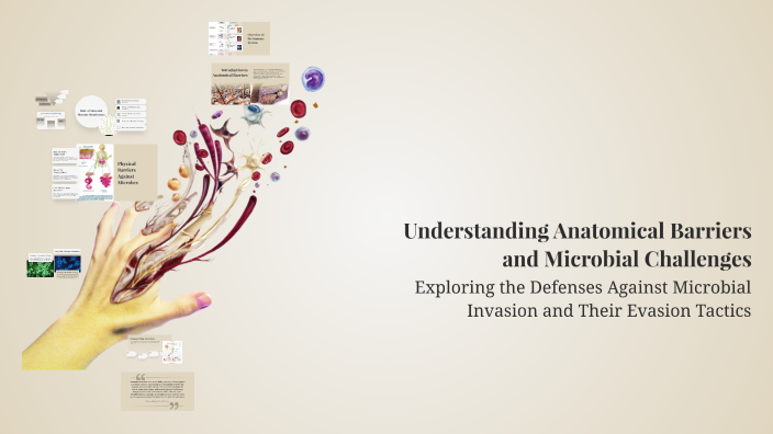 Understanding Anatomical Barriers and Microbial Challenges by Mya ...