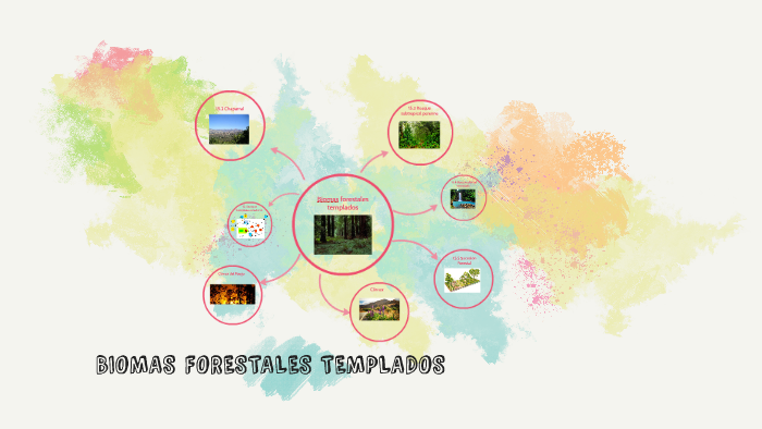 BIOMAS FORESTALES TEMPLADOS by ana maria patiño rodriguez on Prezi