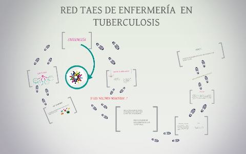 red taes de enfermeria en tuberculosis by erika marron on Prezi