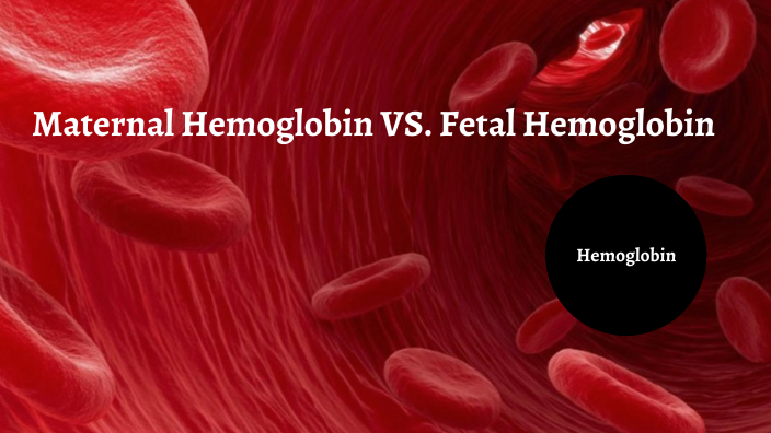 Maternal Hemoglobin VS. Fetal Hemoglobin by Nelly tierrablanca on Prezi