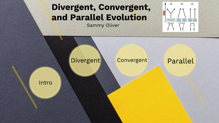Divergent, Convergent, and Parallel Evolution by Sammy Oliver on Prezi