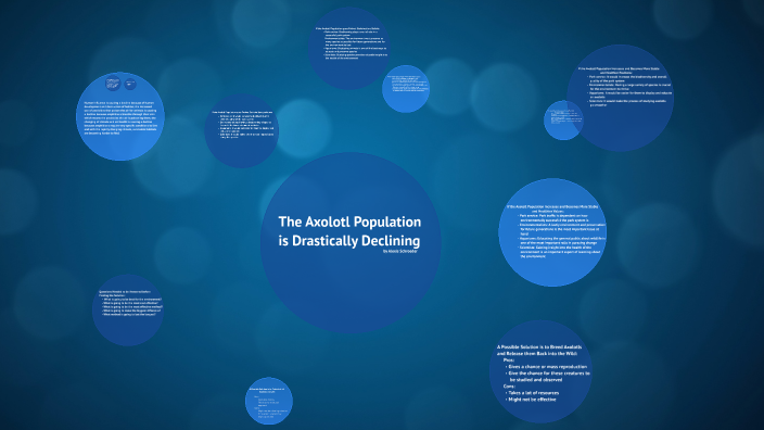 Axolotl Population Declining by Alexis Schroeder on Prezi