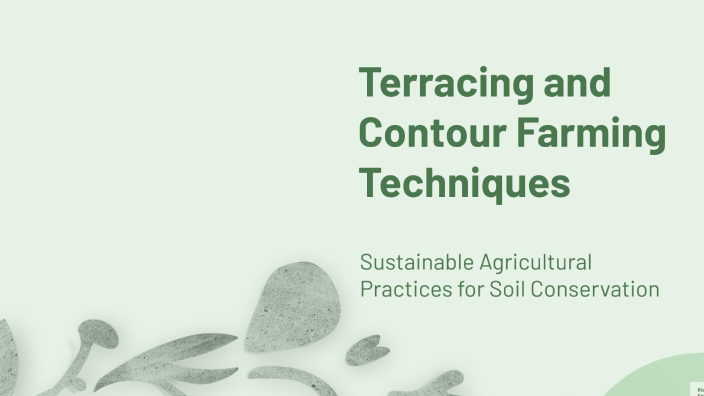 Terracing and Contour Farming Techniques by Joy Latoza on Prezi